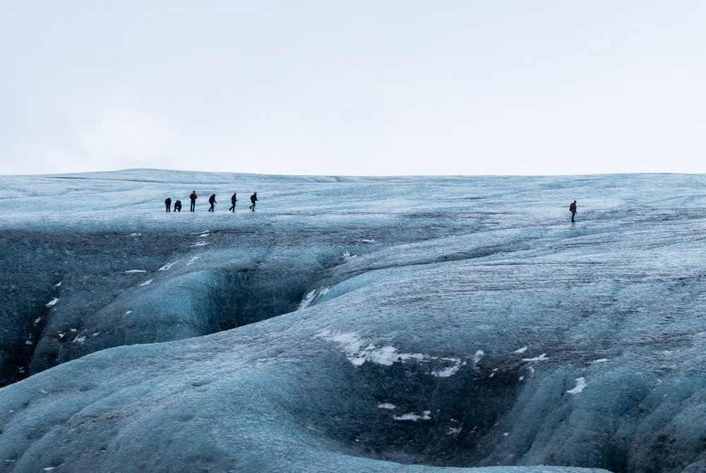 Most Common eBay Motors Scams and How to Avoid Them | Verified.org